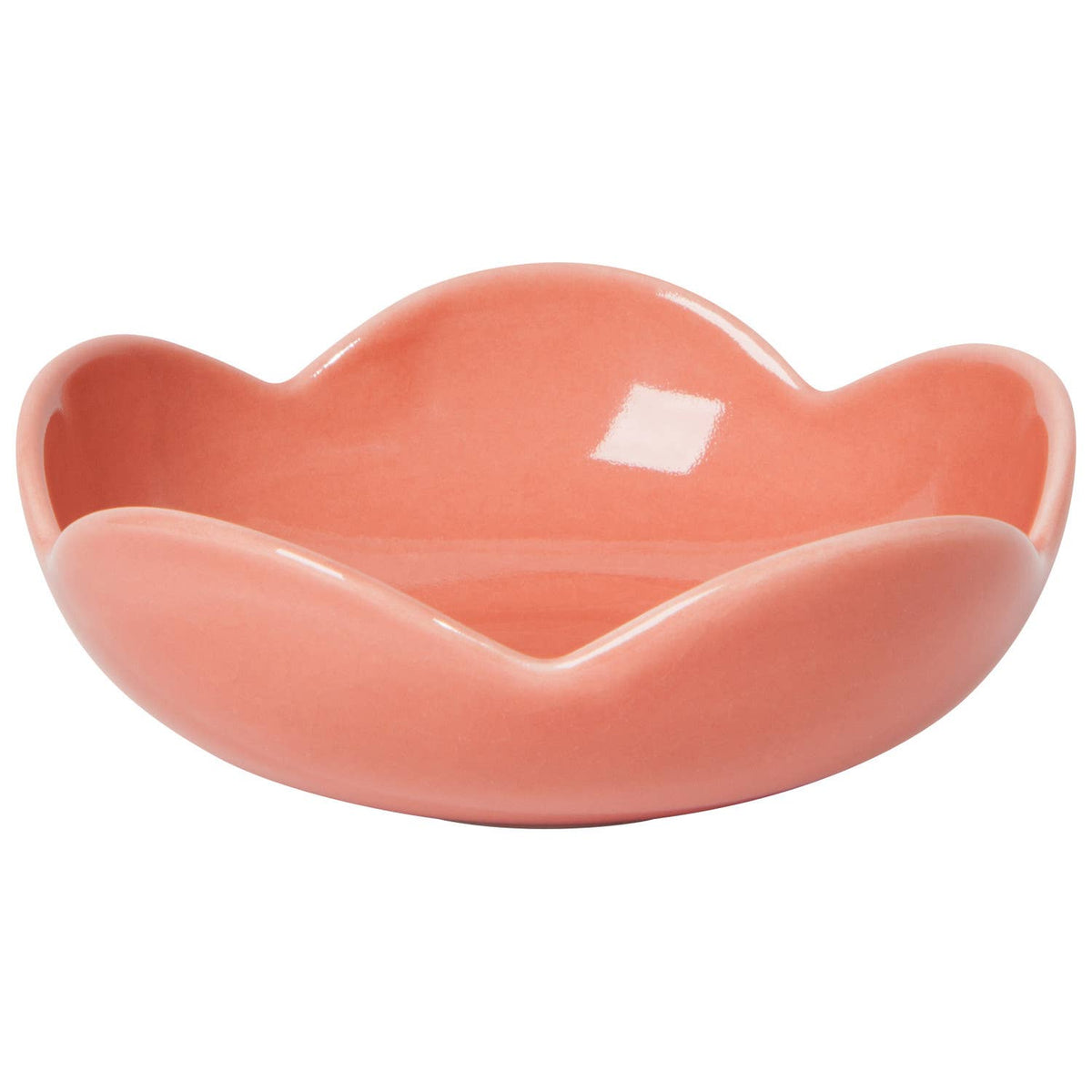 Opus Dish - Sienna – HUEandHEM