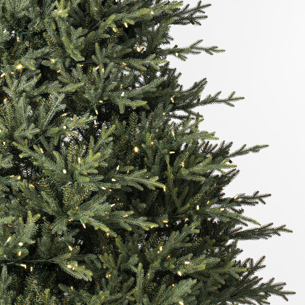 8.5' x 70" Itasca Fraser Christmas Tree – HUEandHEM
